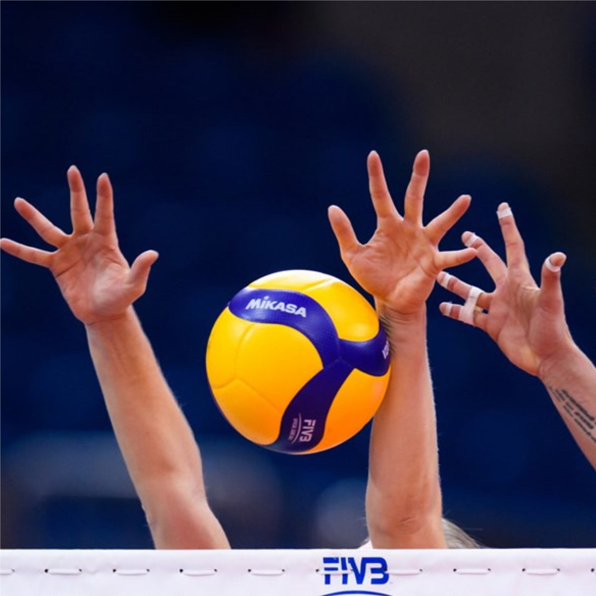 Volleyball – Al Anderson's Source for Sports